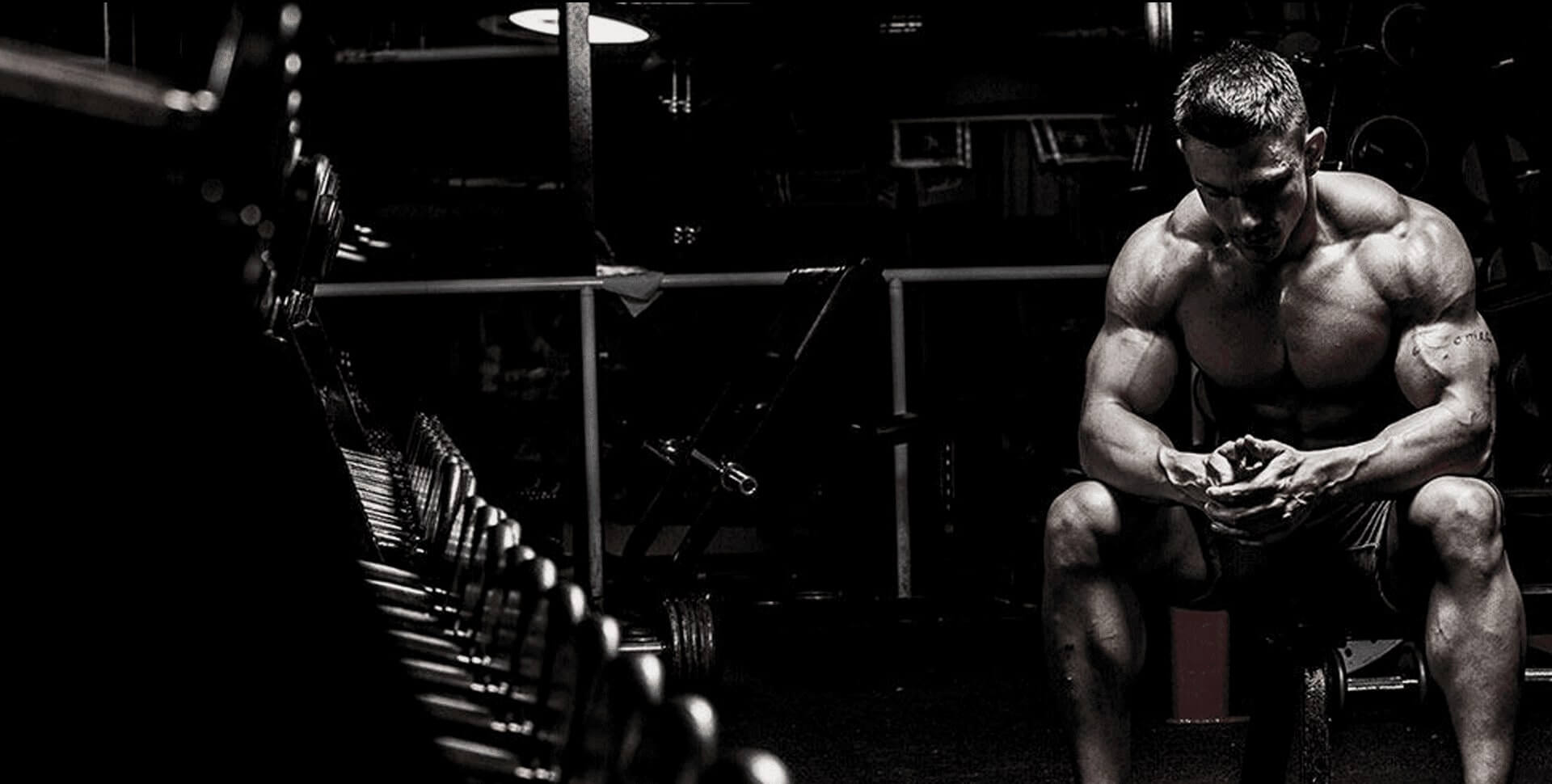 Bodybuilding & Post Cycle Therapy Supplements - SD Matrix