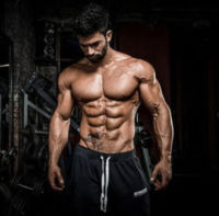 Bodybuilding & Post Cycle Therapy Supplements - SD Matrix